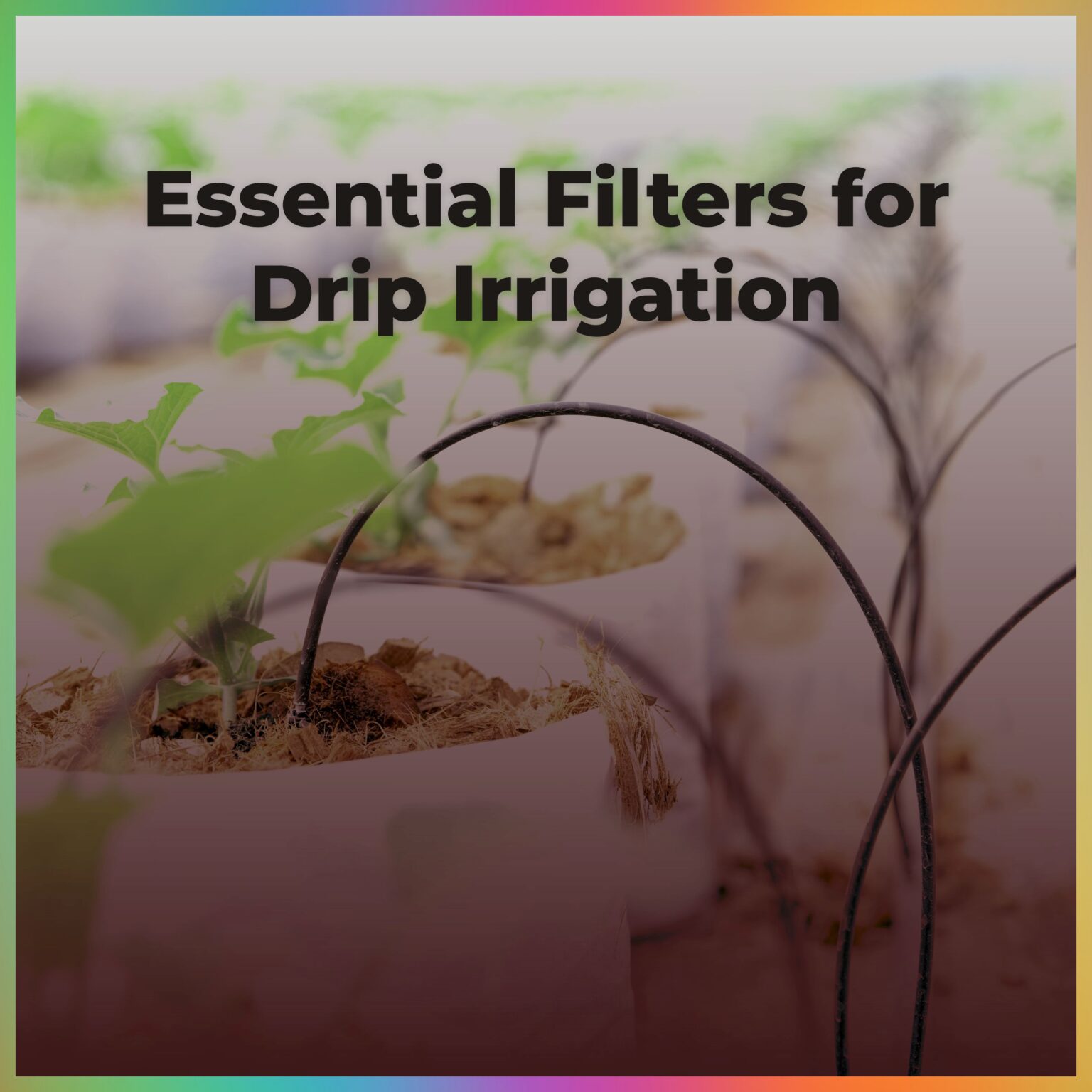 From Disc to Screen: A Breakdown of Essential Filters for Drip ...