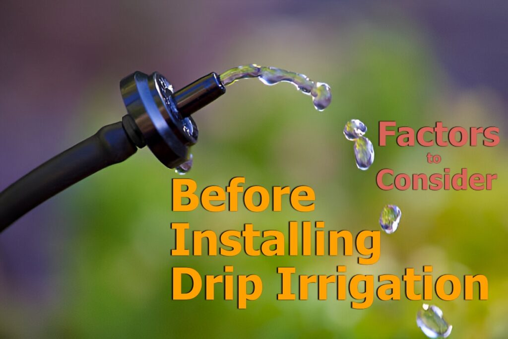 Factors to Consider Before Installing Drip Irrigation