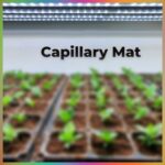 What is a Capillary Mat System? Types, Pros, and Cons [Everything You ...