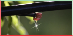 Different Types of Drip Emitters: The Key to Efficient Watering Systems ...