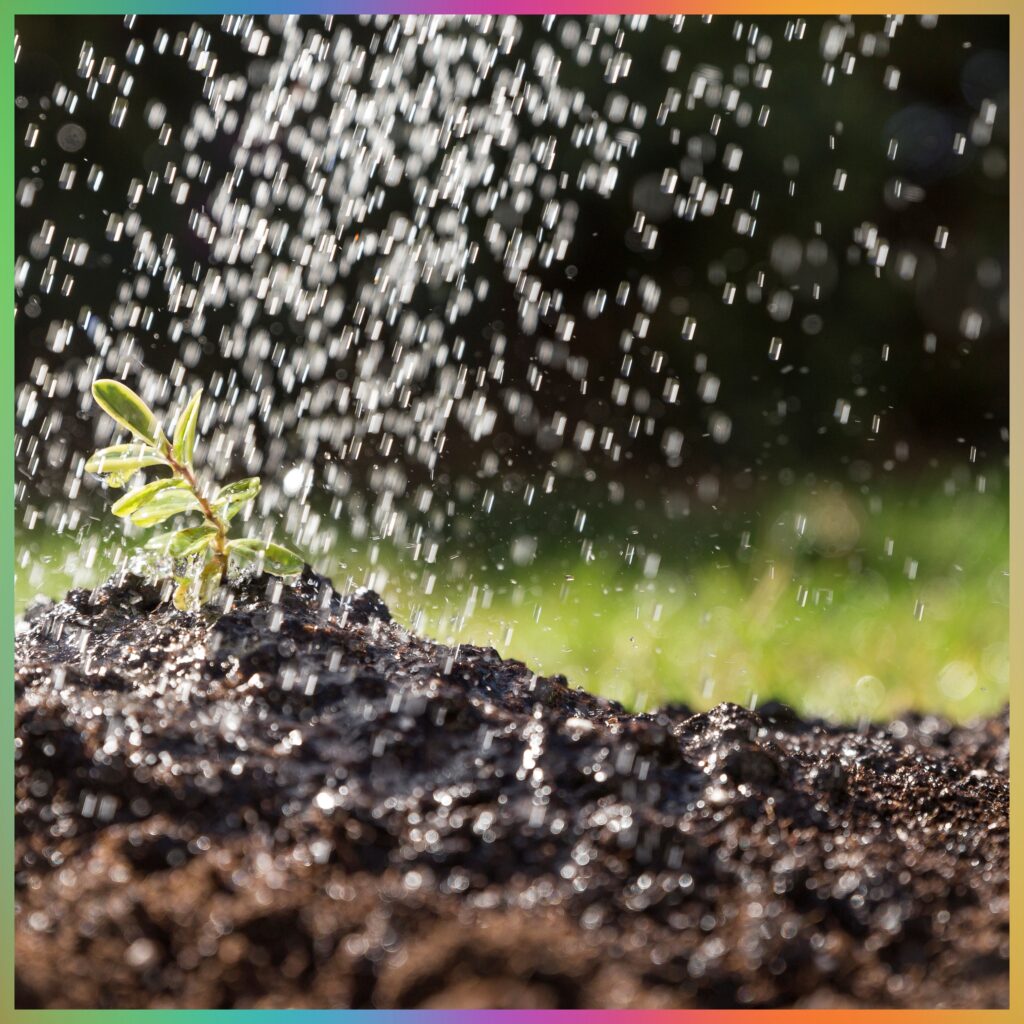 What Is Fertigation, Its Advantages, and Disadvantage | the Best ...