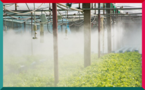 Mist Irrigation Systems: Everything You Need to Know About Their ...
