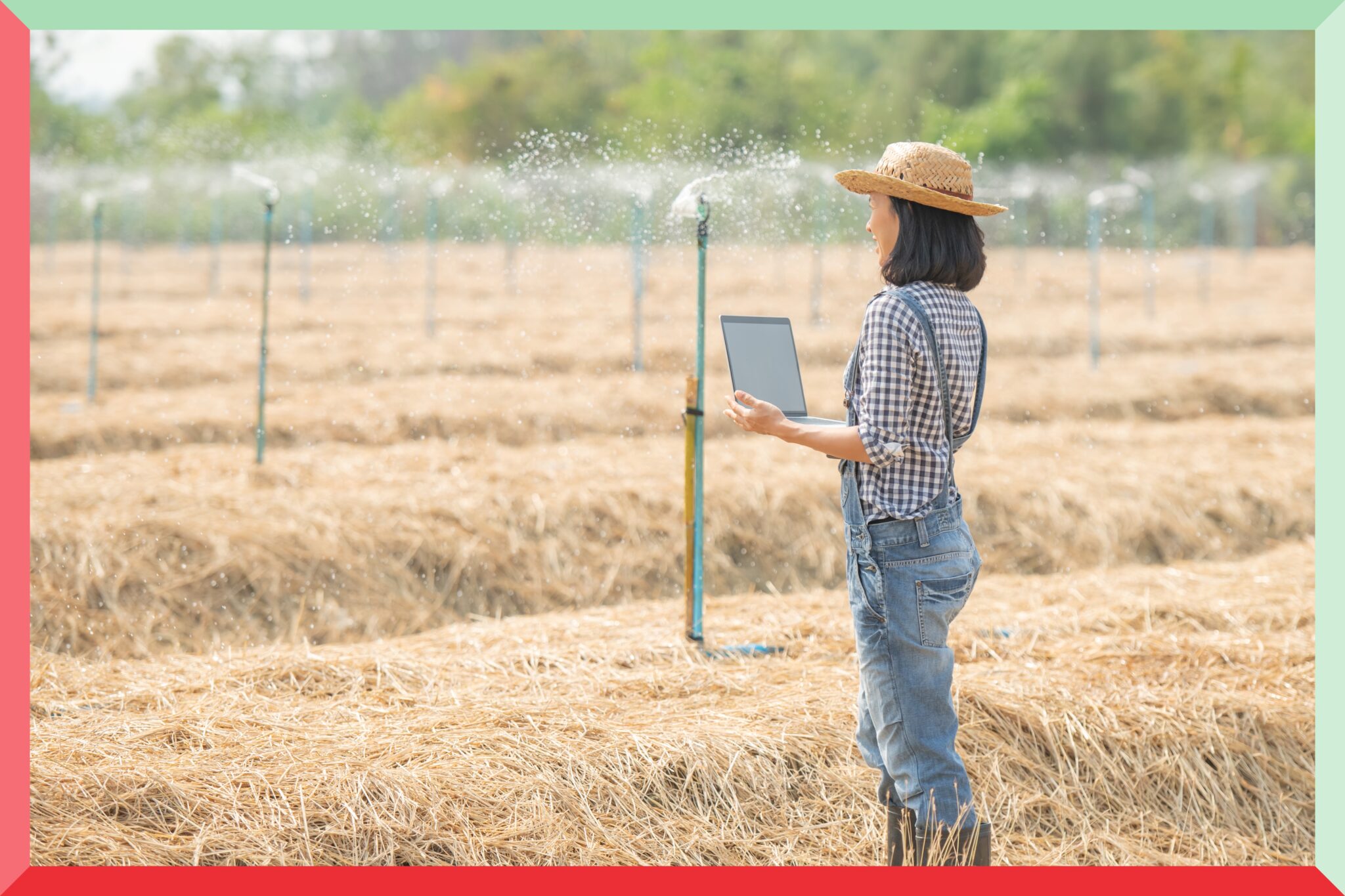 Fixed vs. Modular Irrigation Controllers: Make the Right Choice for ...